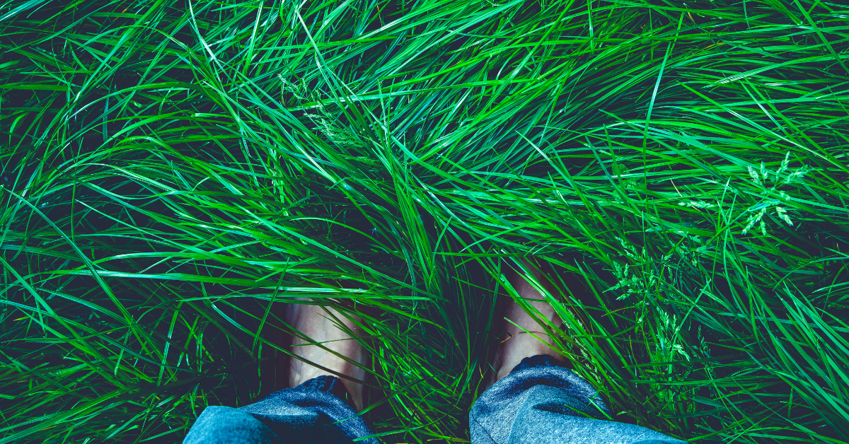 Breathwork Exercise For Grounding - Neurodynamic Breathwork Online